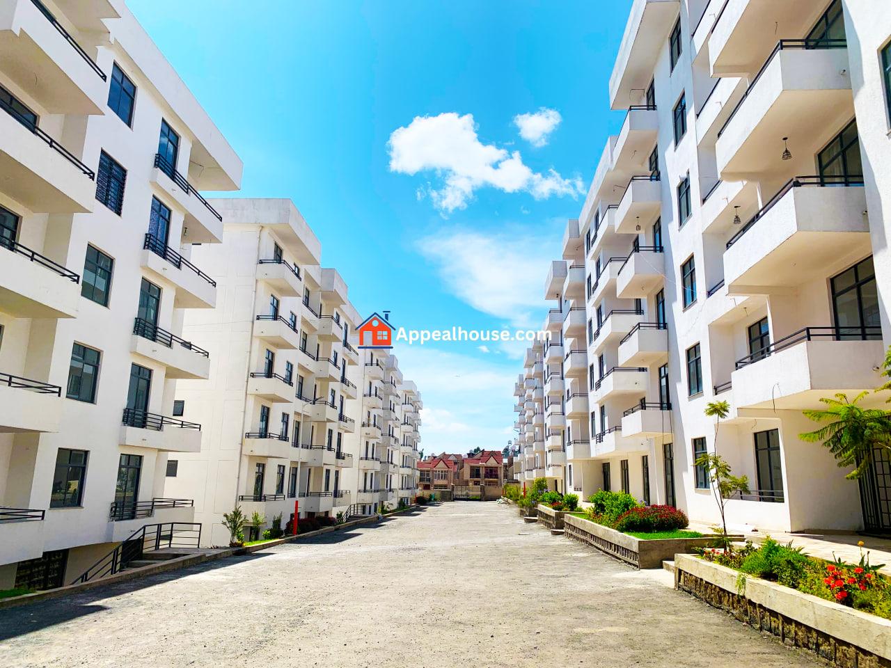 Noah Real Estate: Noah Green Park – Ayat - House and Real Estate for ...